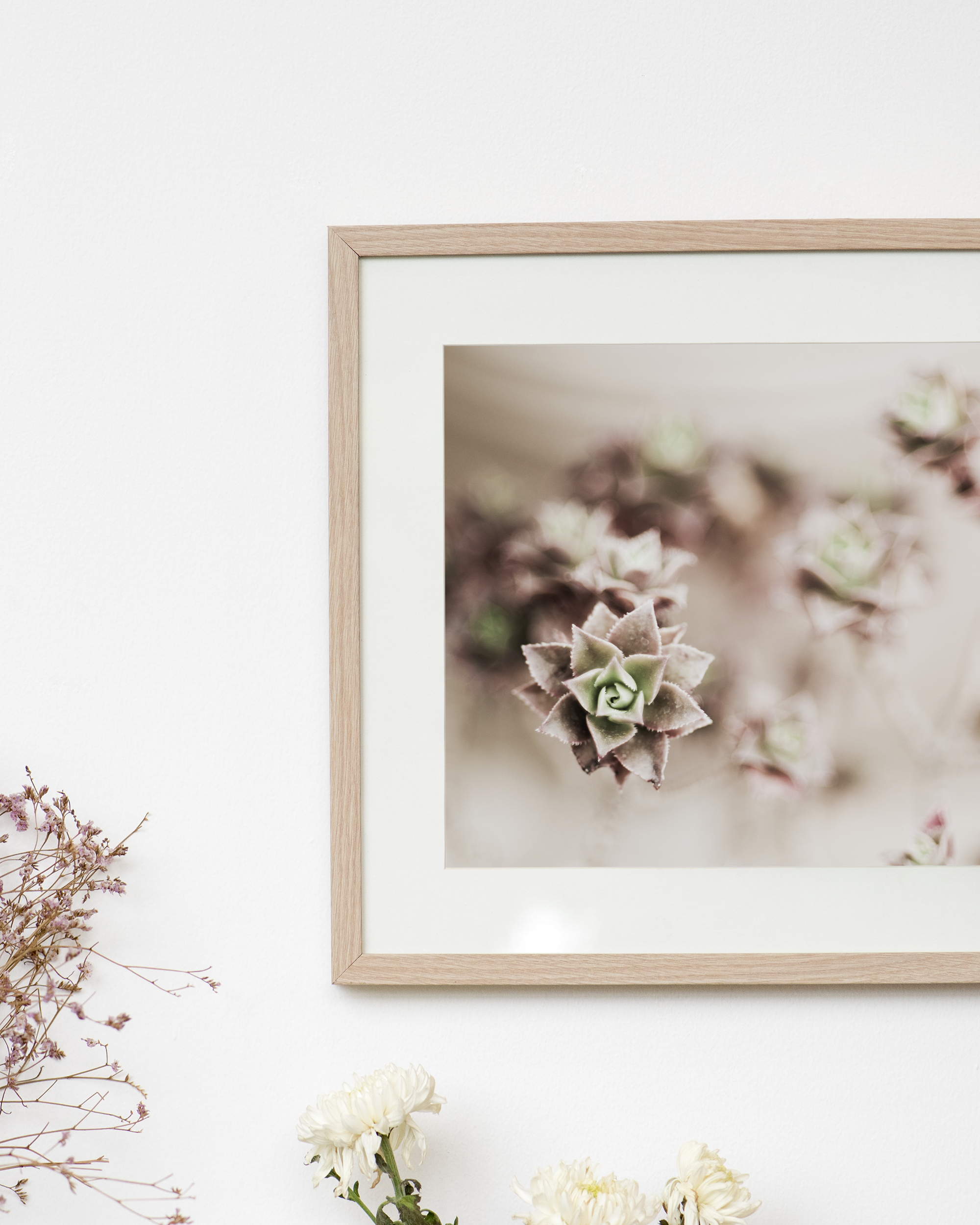 Framed Prints – My Pro Photo